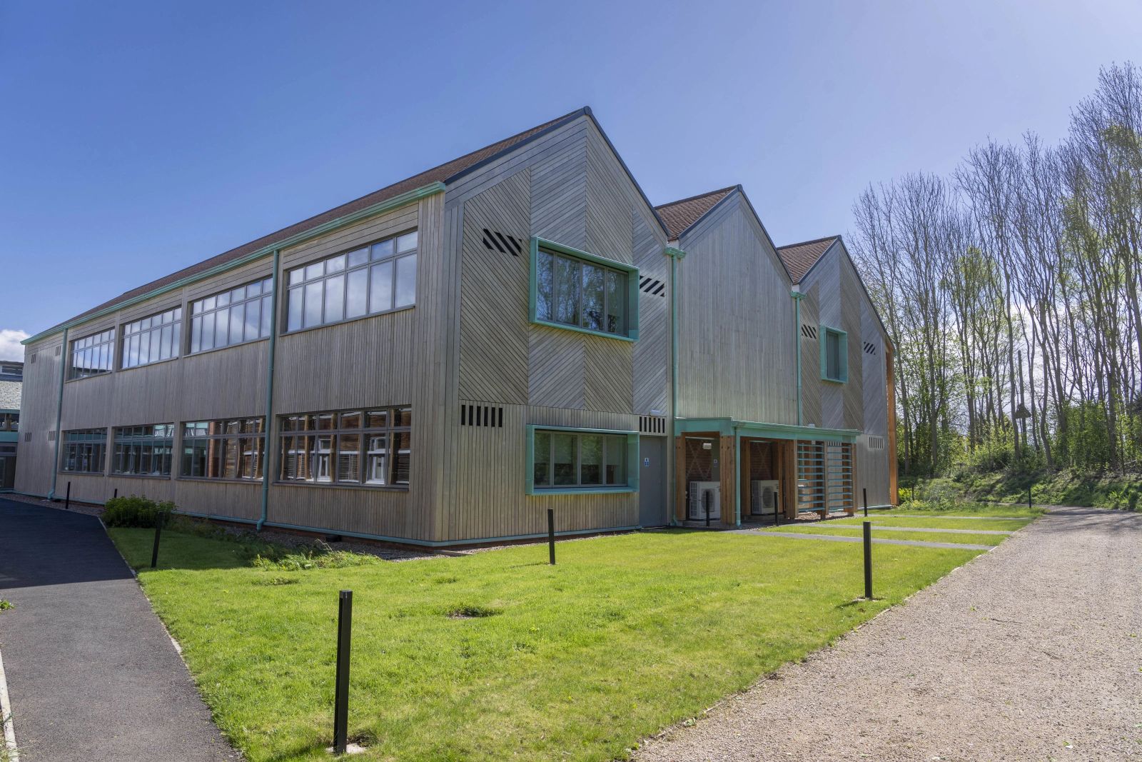 Delivering Sustainable Success for Microsoft Rare - Insight